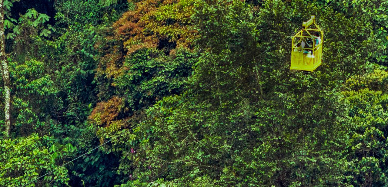 Ecological Adventures with Kids in Mindo Cloud Forest Reserve - The ...